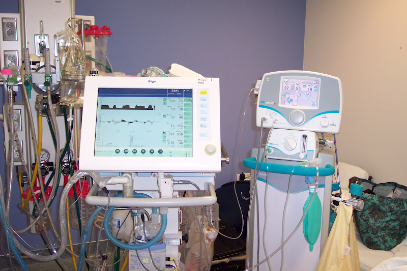 Compatible With Joy-Trisomy18: 04/01/2012 - 05/01/2012